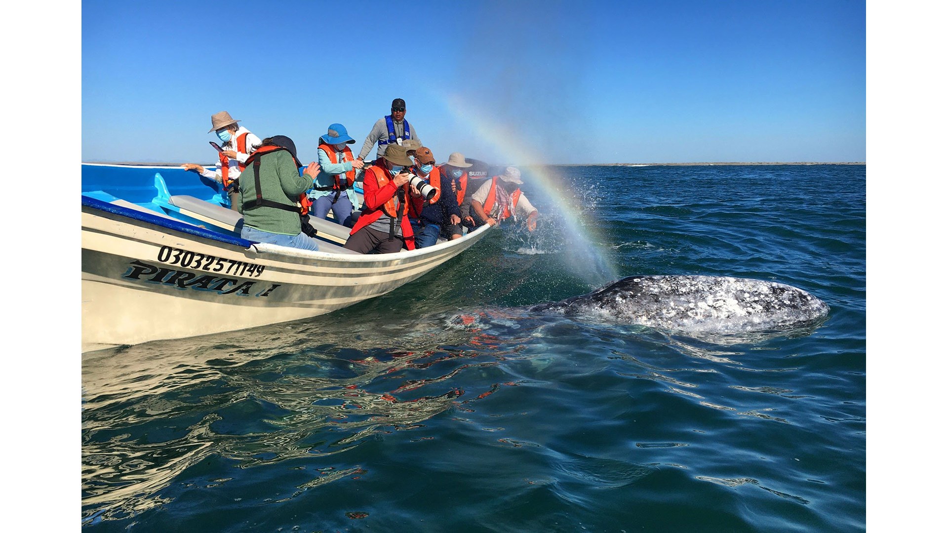 Baja Adventure Cruise | Lindblad Expeditions
