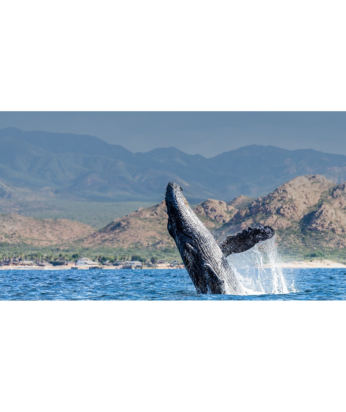 Baja Adventure Cruise | Lindblad Expeditions