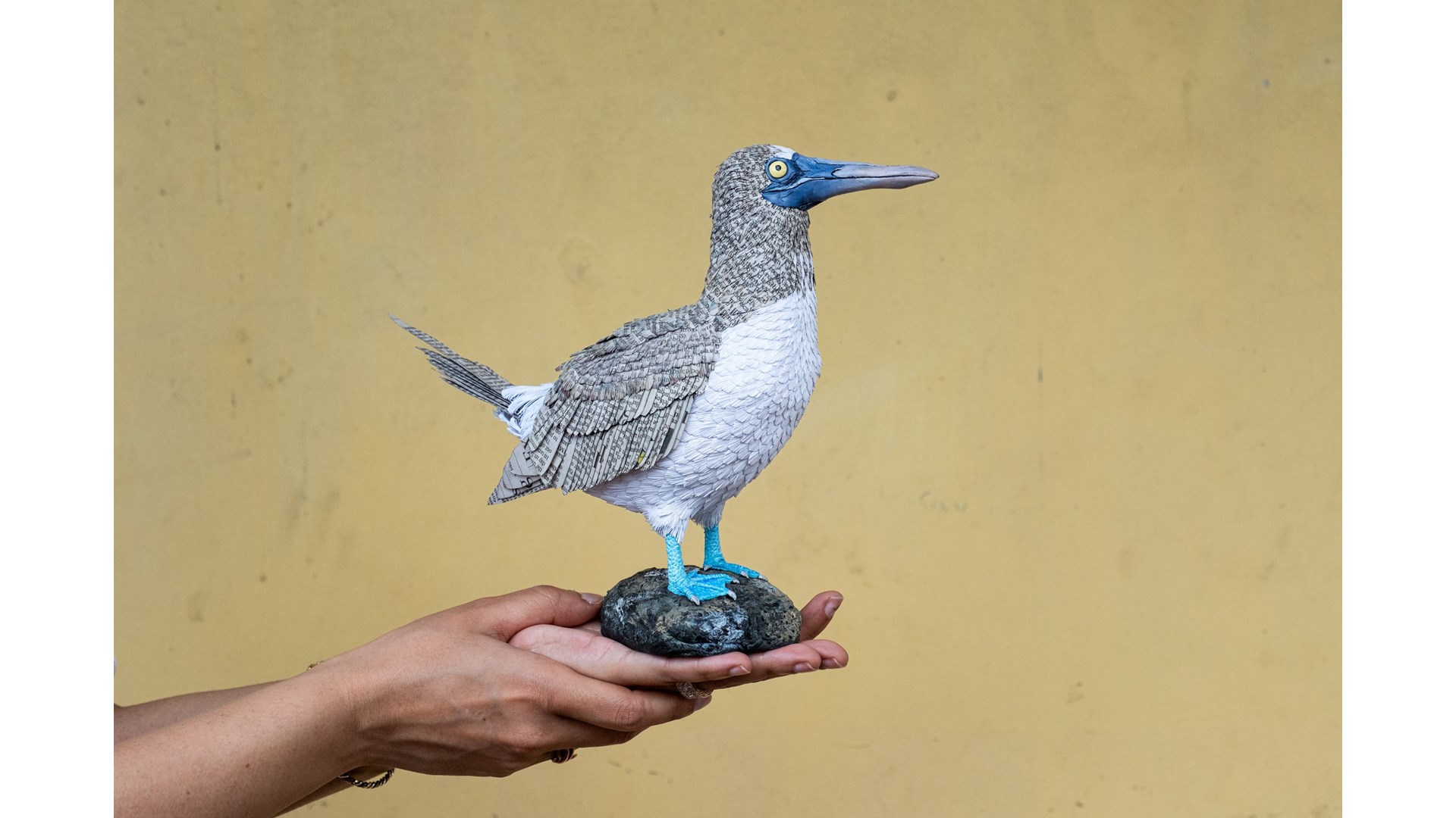 Artisan Fund Spotlight: The Paper Birds Project in Galápagos