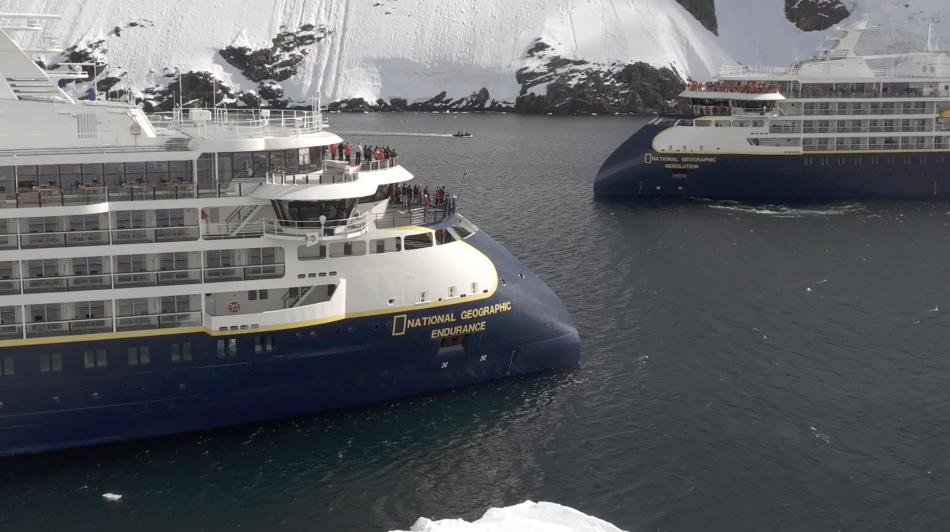 Expedition Stories | Articles and Videos | Lindblad Expeditions
