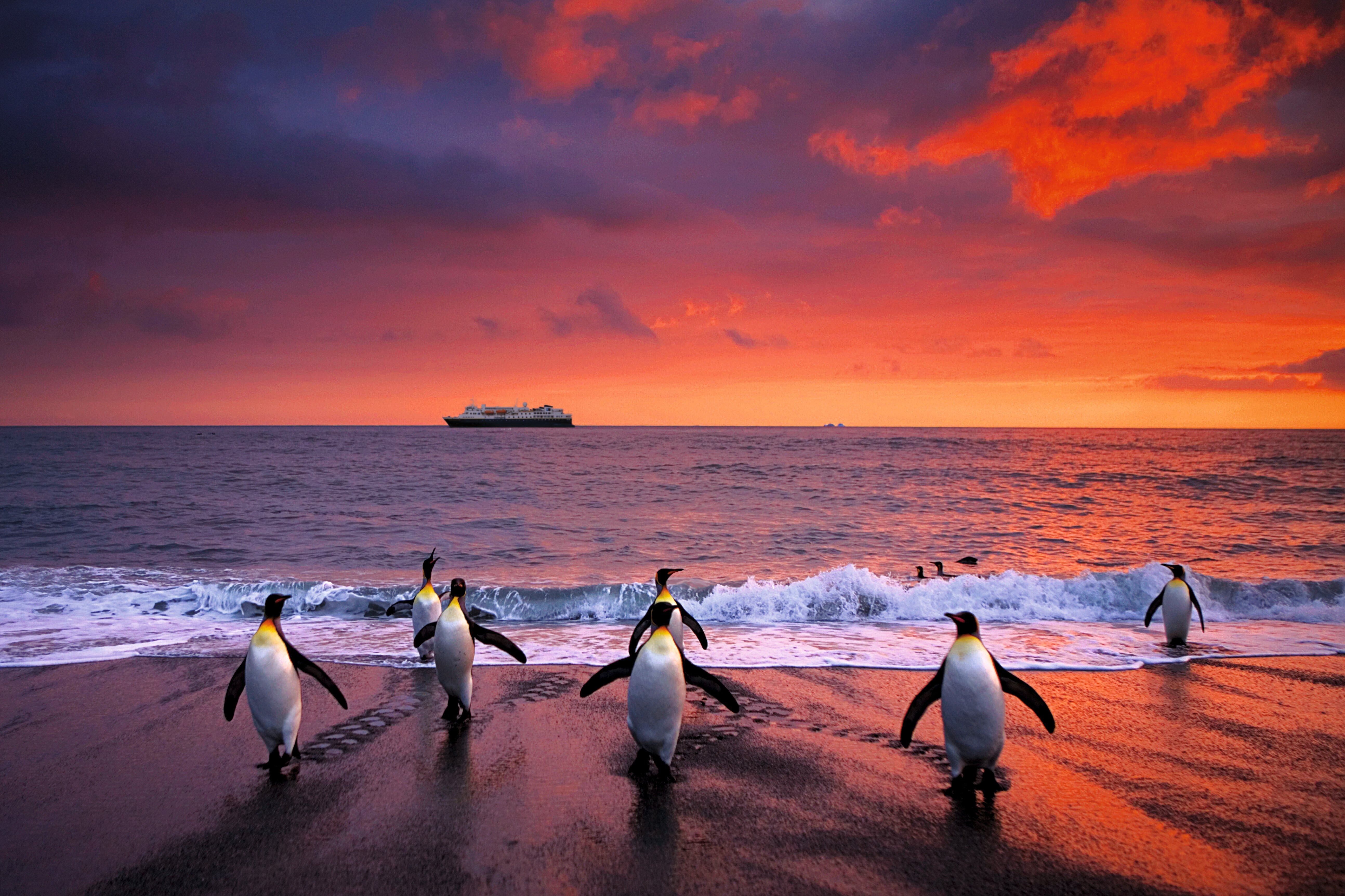 Luxury Adventure Cruises & Travel | Lindblad Expeditions