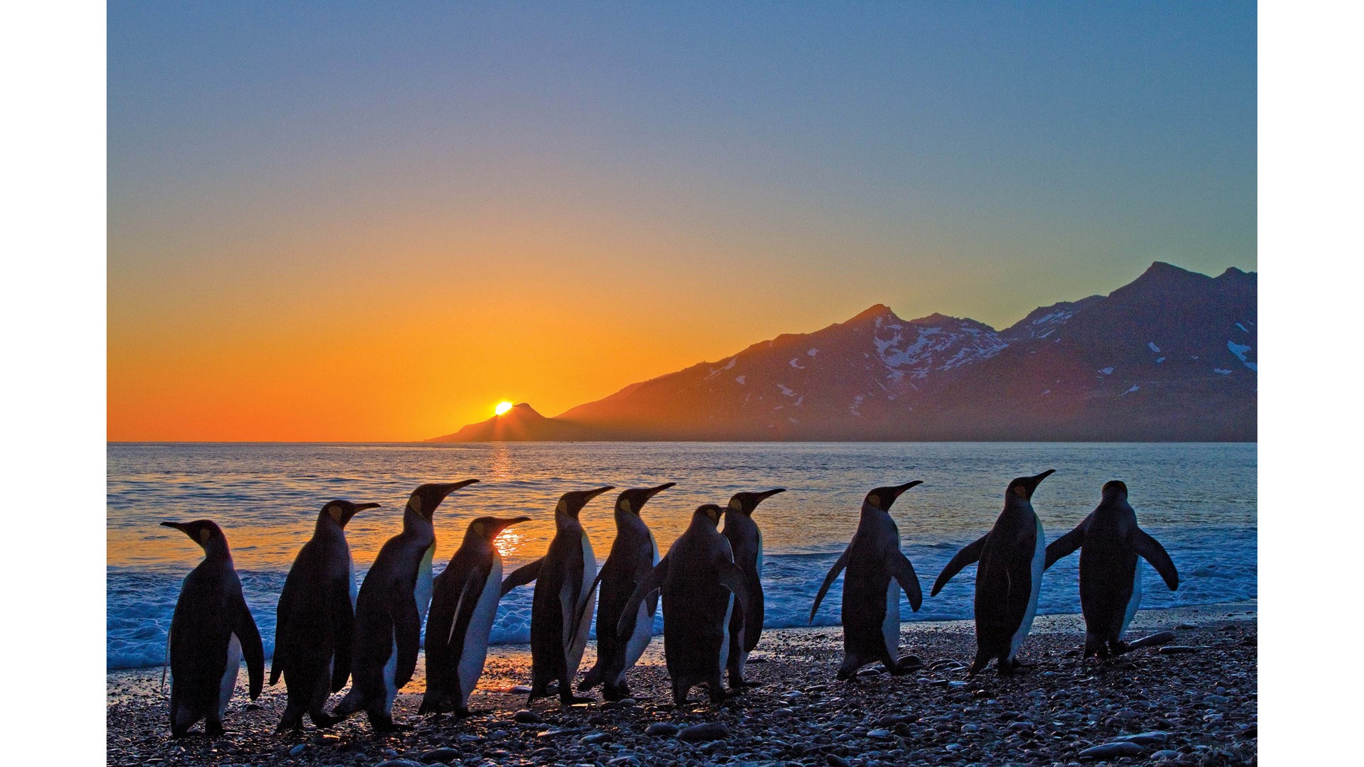 ABC News Live in Antarctica with Lindblad Expeditions