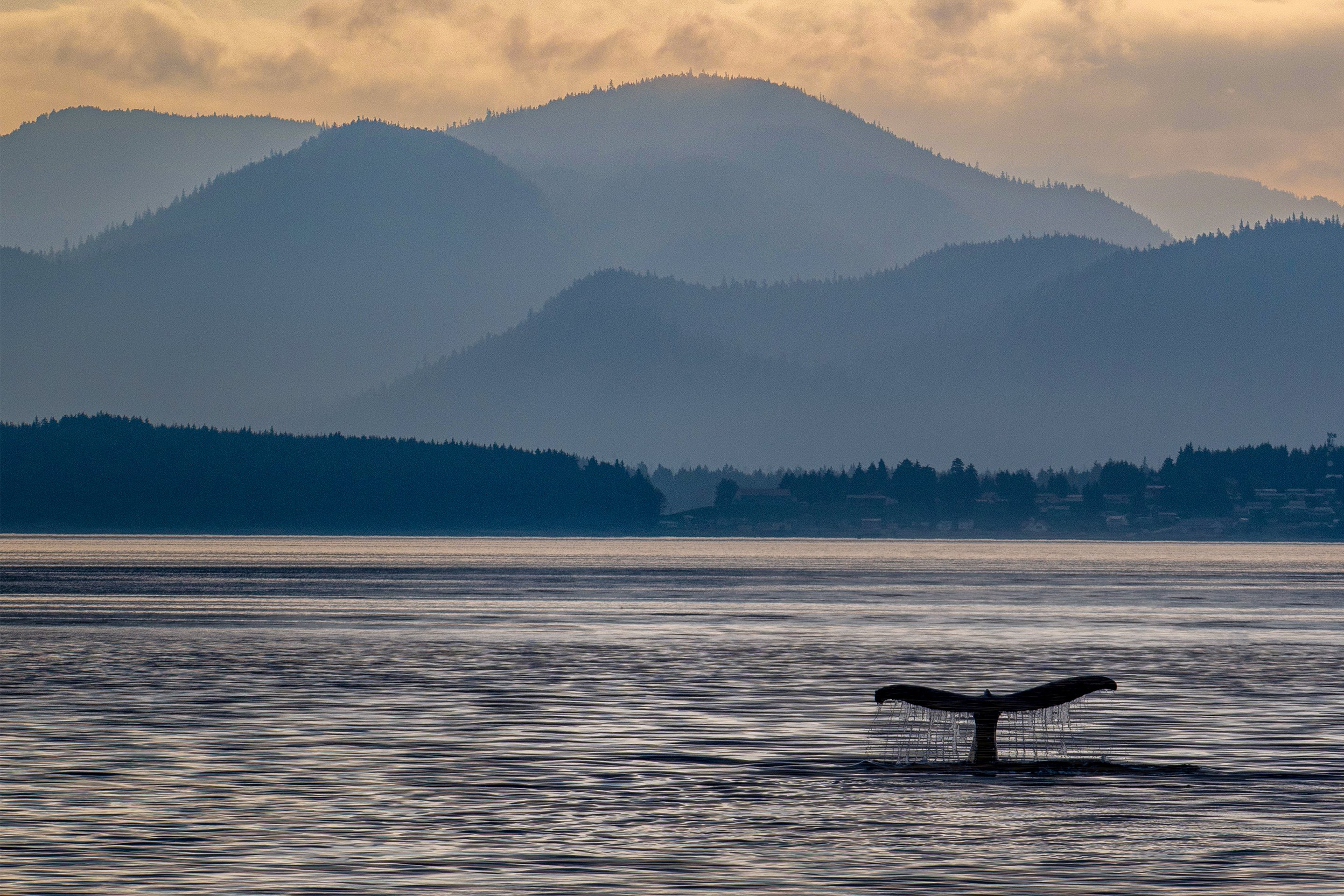 Alaska Escapes | Lindblad Expeditions