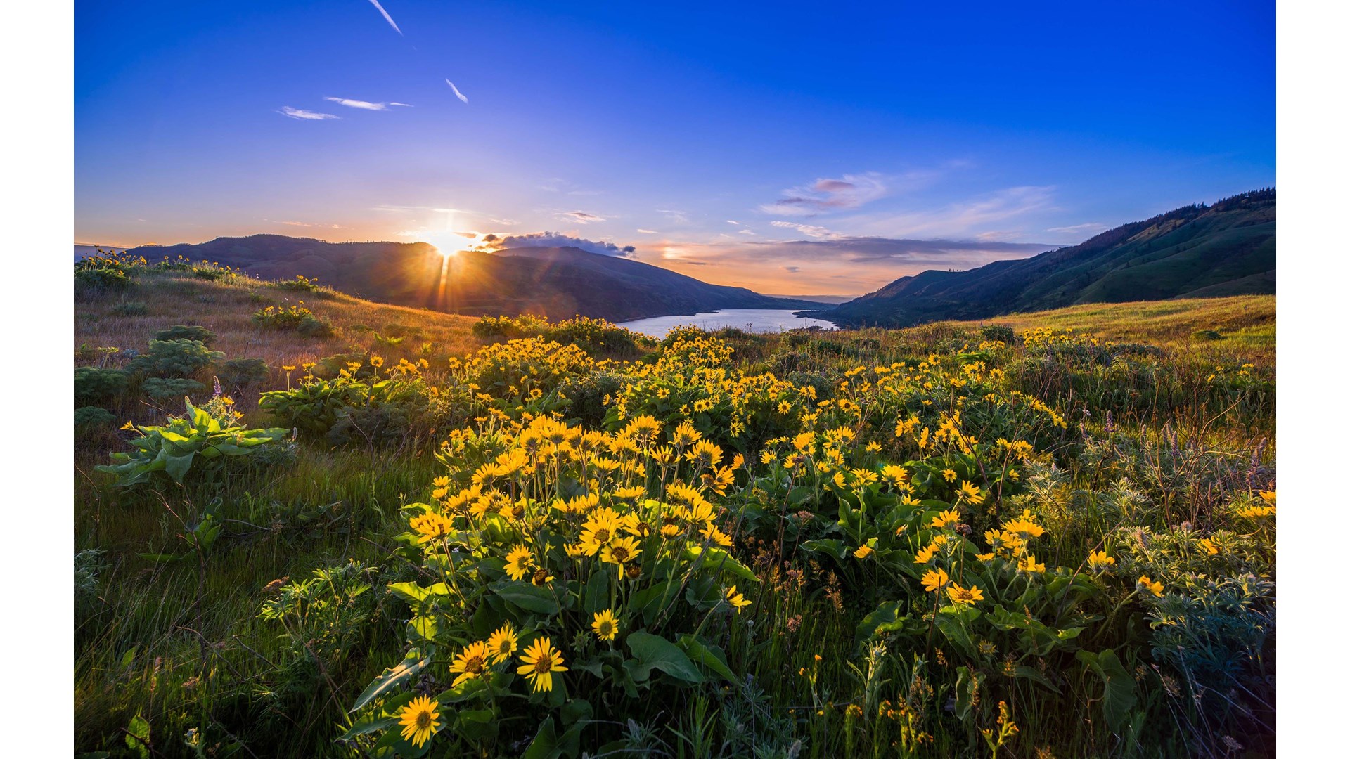 Columbia and Snake Rivers - Spring Departures | Lindblad Expeditions