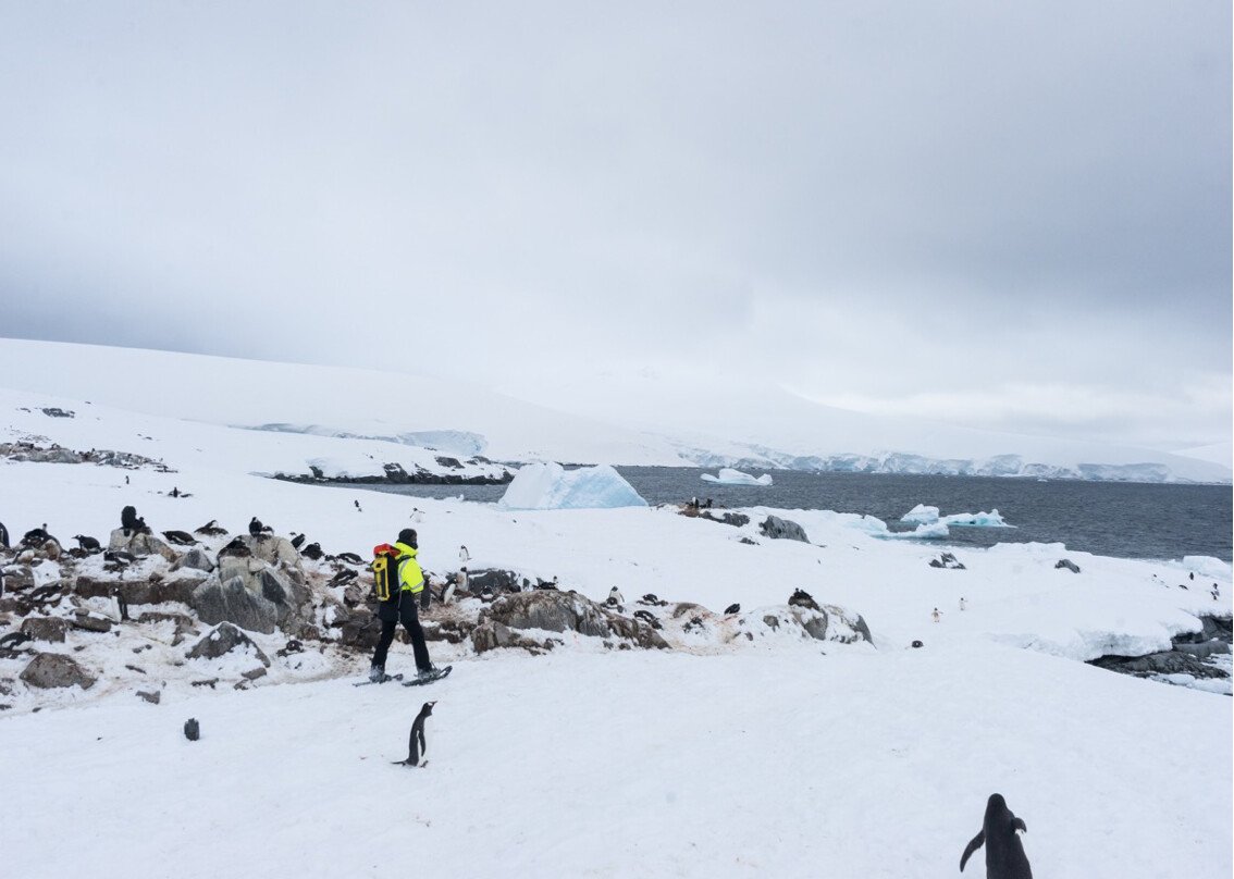Visiting Scientists | Lindblad Expeditions