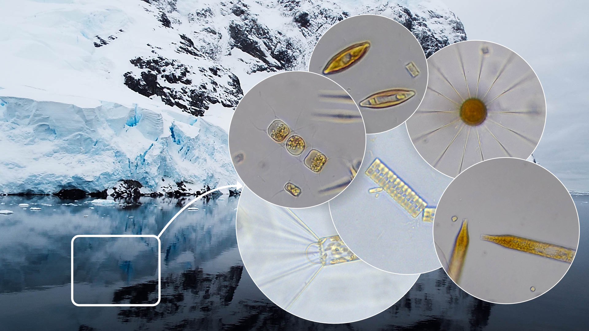 Visiting Scientists | Lindblad Expeditions