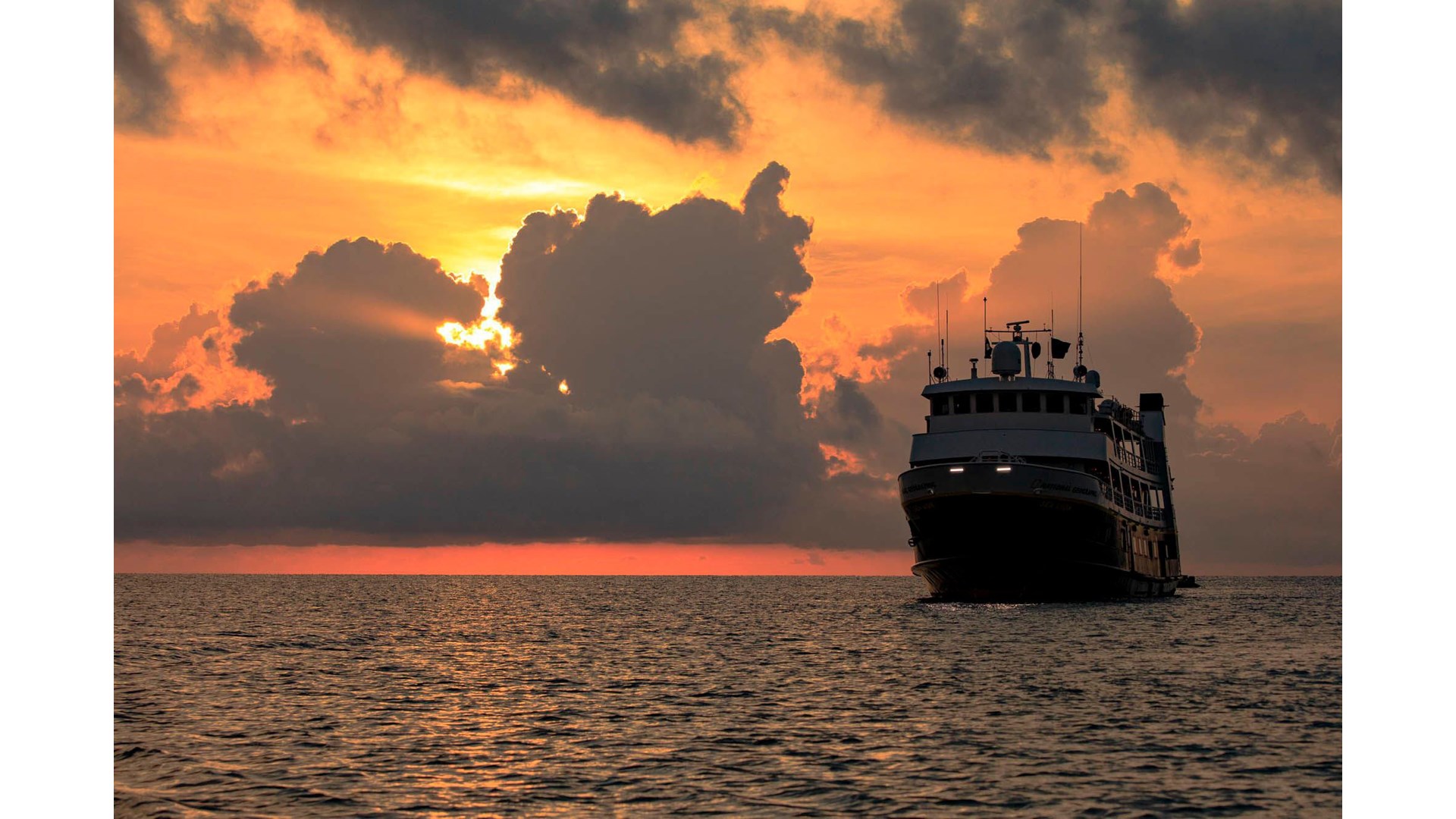 Photos of the Week, February 4, 2022 | Lindblad Expeditions