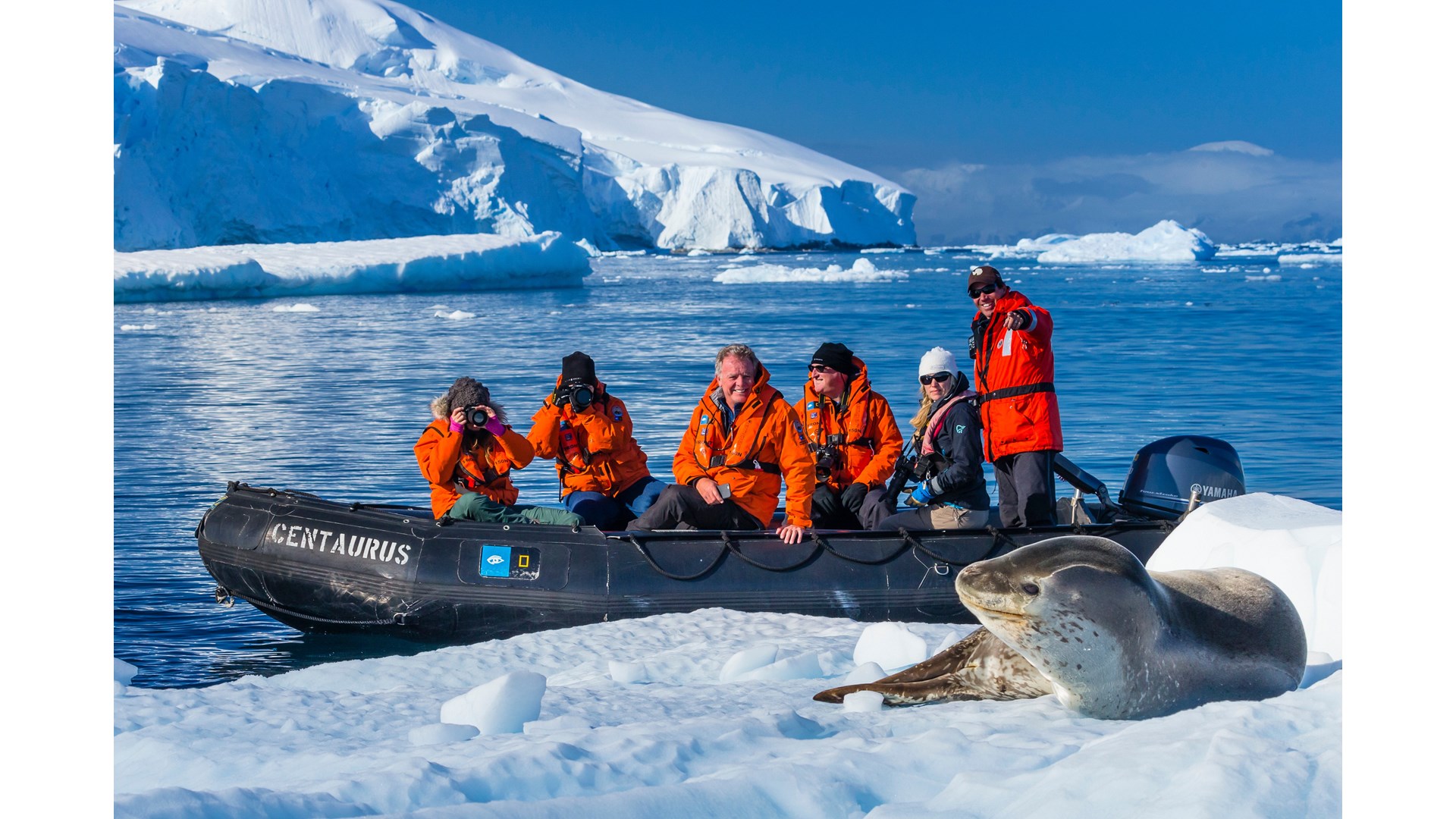 Antarctica Photography Trips: Tips for the Ice-bound Explorer ...